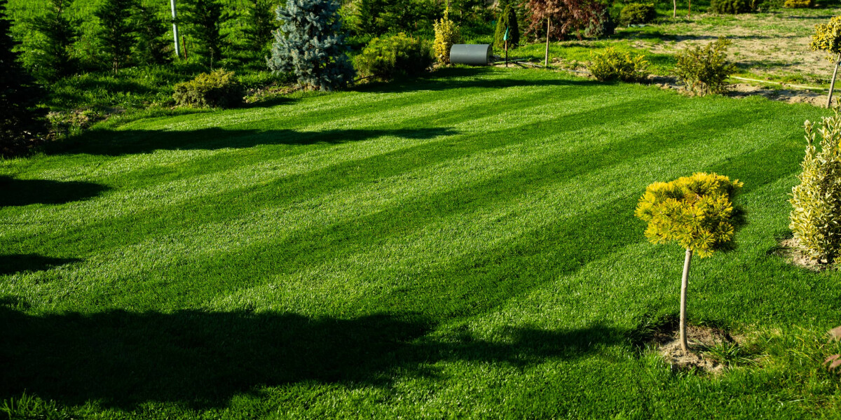 Ce îngrășământ alegi pentru gazonul tău? GHID COMPLET