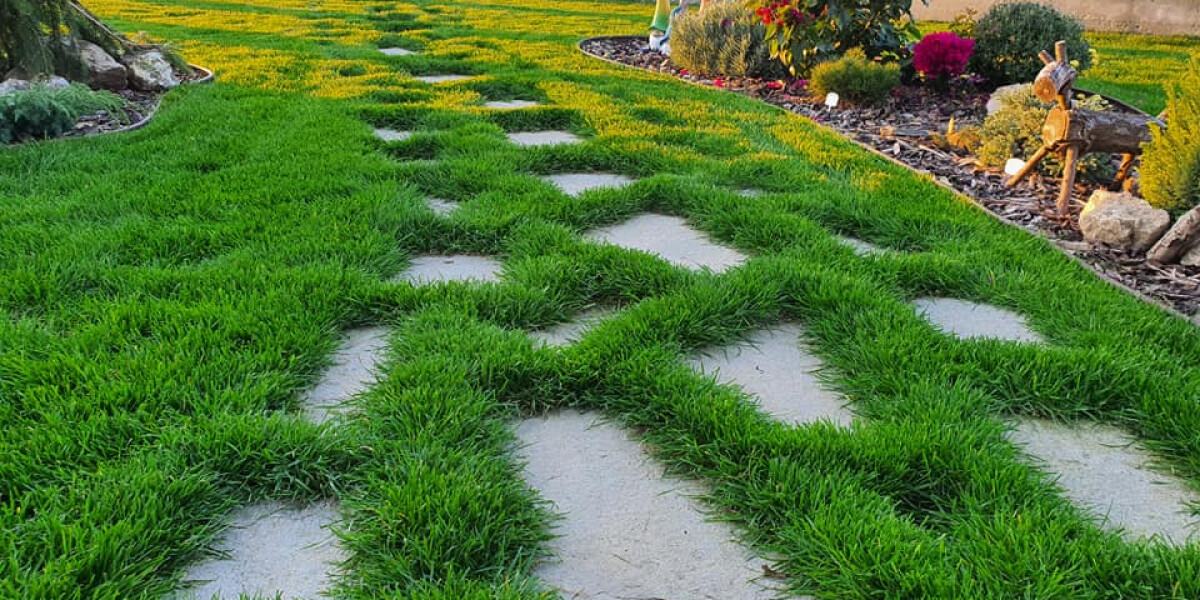 Ce beneficii au ingrasamintele foliare pentru gazon?