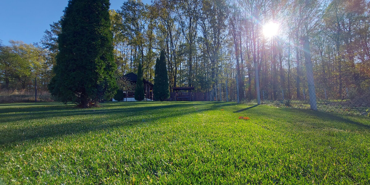 Redu irigarea folosind îngrășăminte potrivite