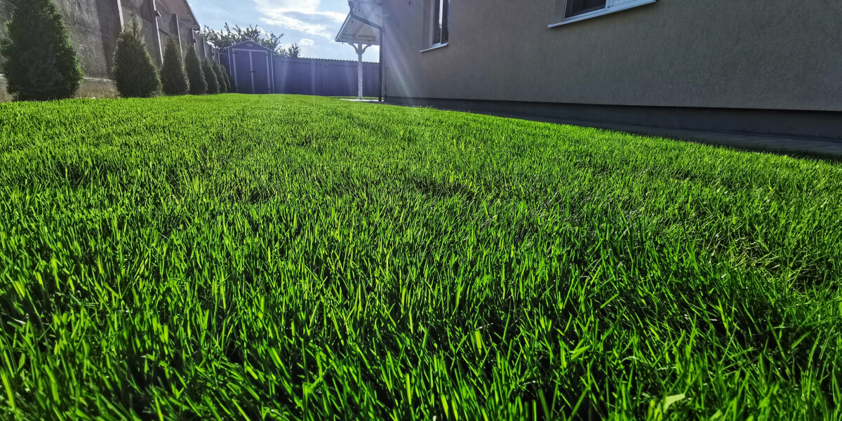 Prevenirea naturală a bolilor în gazon și plante ornamentale ...