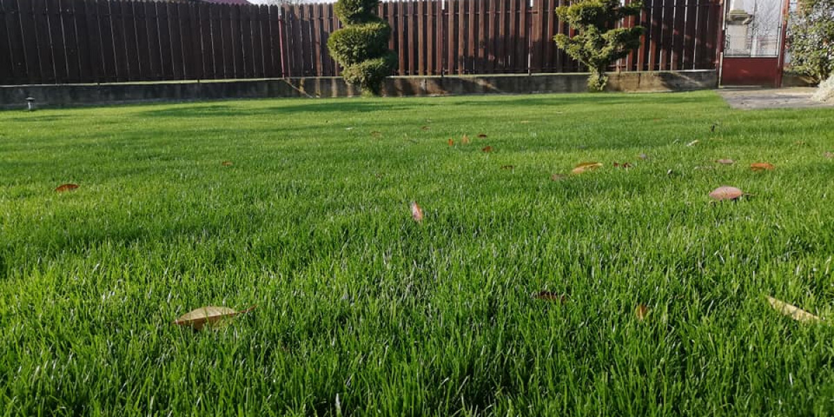 Ingrasamant gazon profesional all-season semintegazon.ro