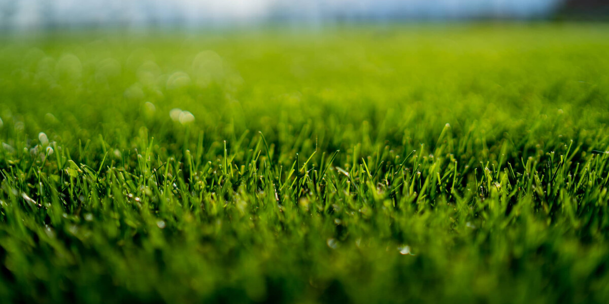 Îngrășământ gazon granule cu zeolit | SeminteGazon.ro